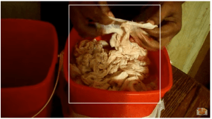 Chitlins aka Chitterlings: My Family’s Holiday Cooking Tradition with ...